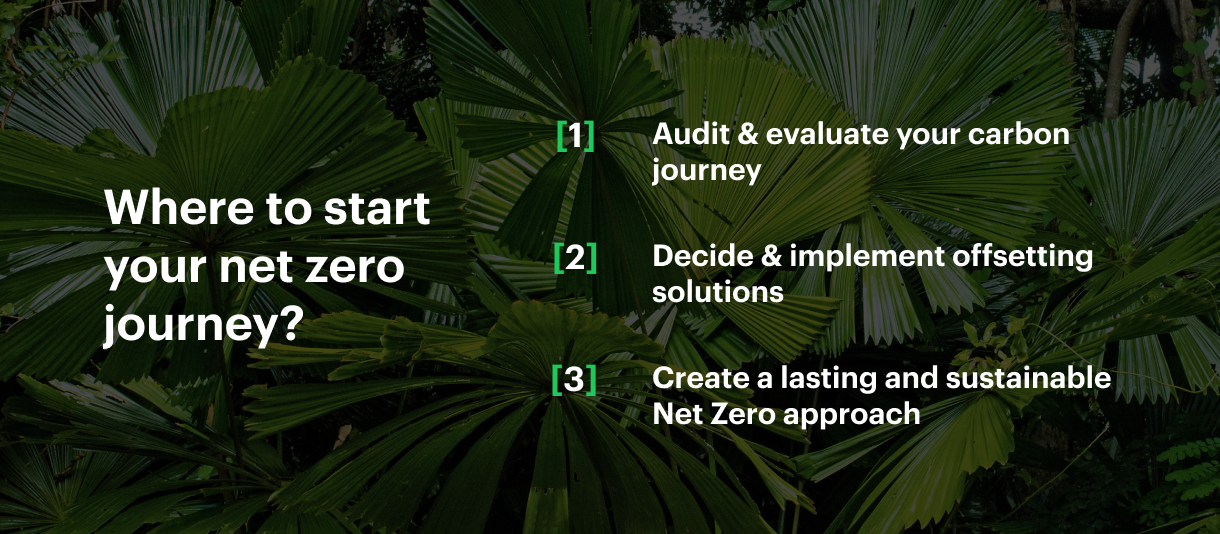 What is Net Zero and How Do We Get There? - One Tribe