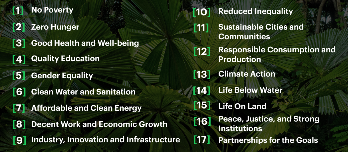 A Full Breakdown Of The UN Sustainable Development Goals